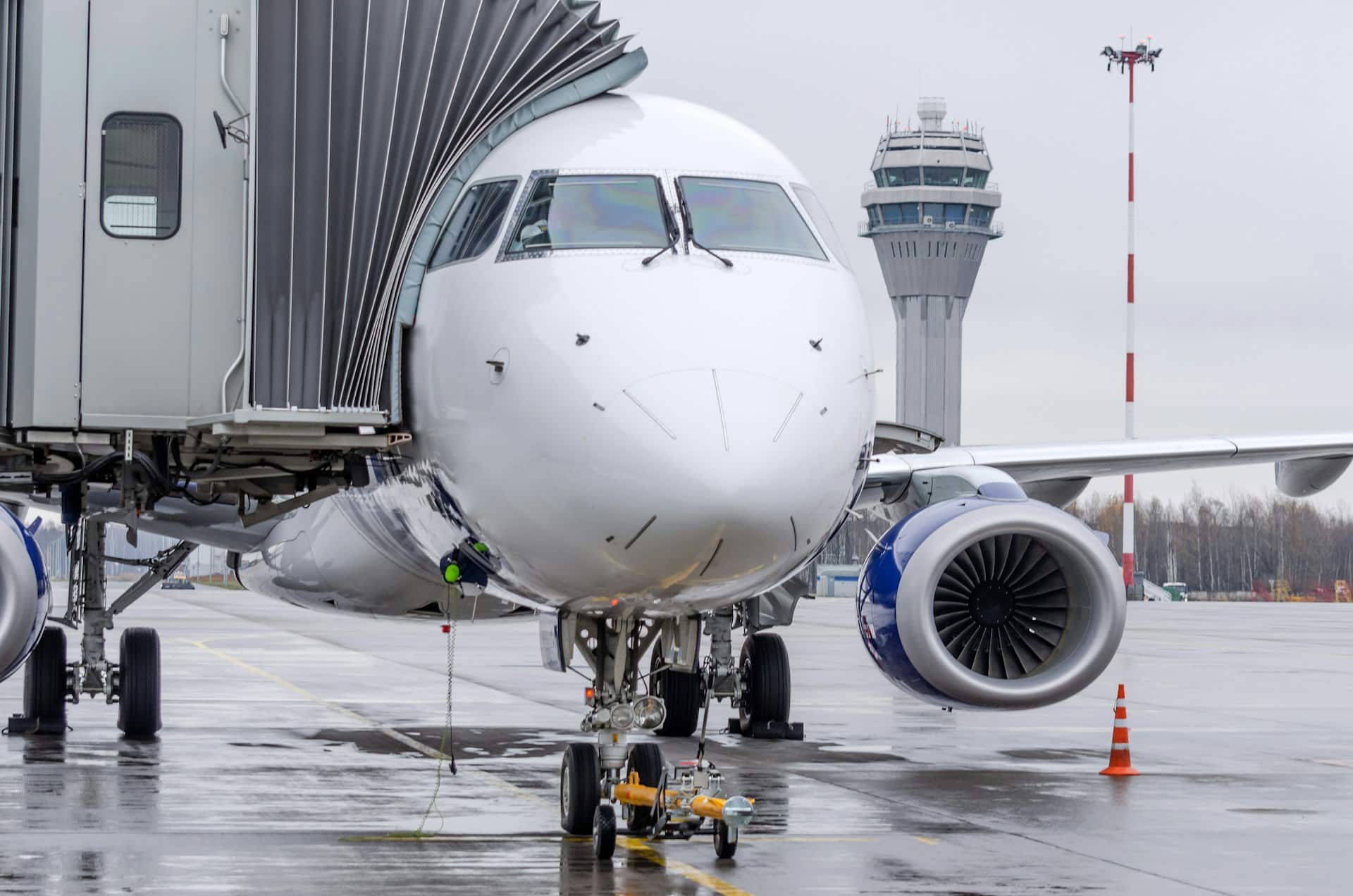 Azores Airlines Reviews: Unveiling the Traveler Experience - Year Round ...